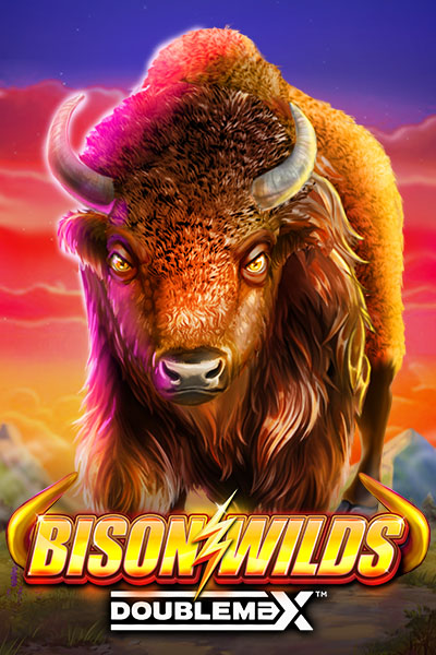 Explore Lobby: Discover Game Categories and Types | Flappy Casino